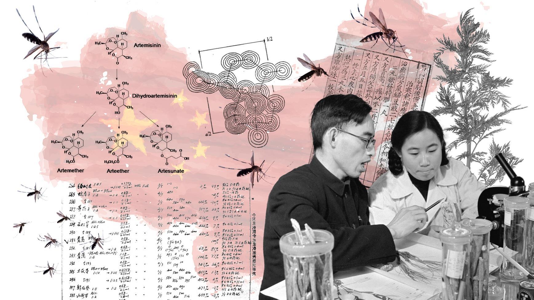 50 years of artemisinin | Feature | Chemistry World
