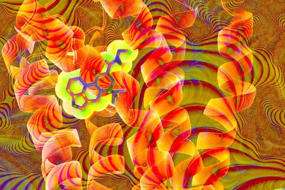 Crystal structure lifts lid on LSD’s secrets | Research | Chemistry World