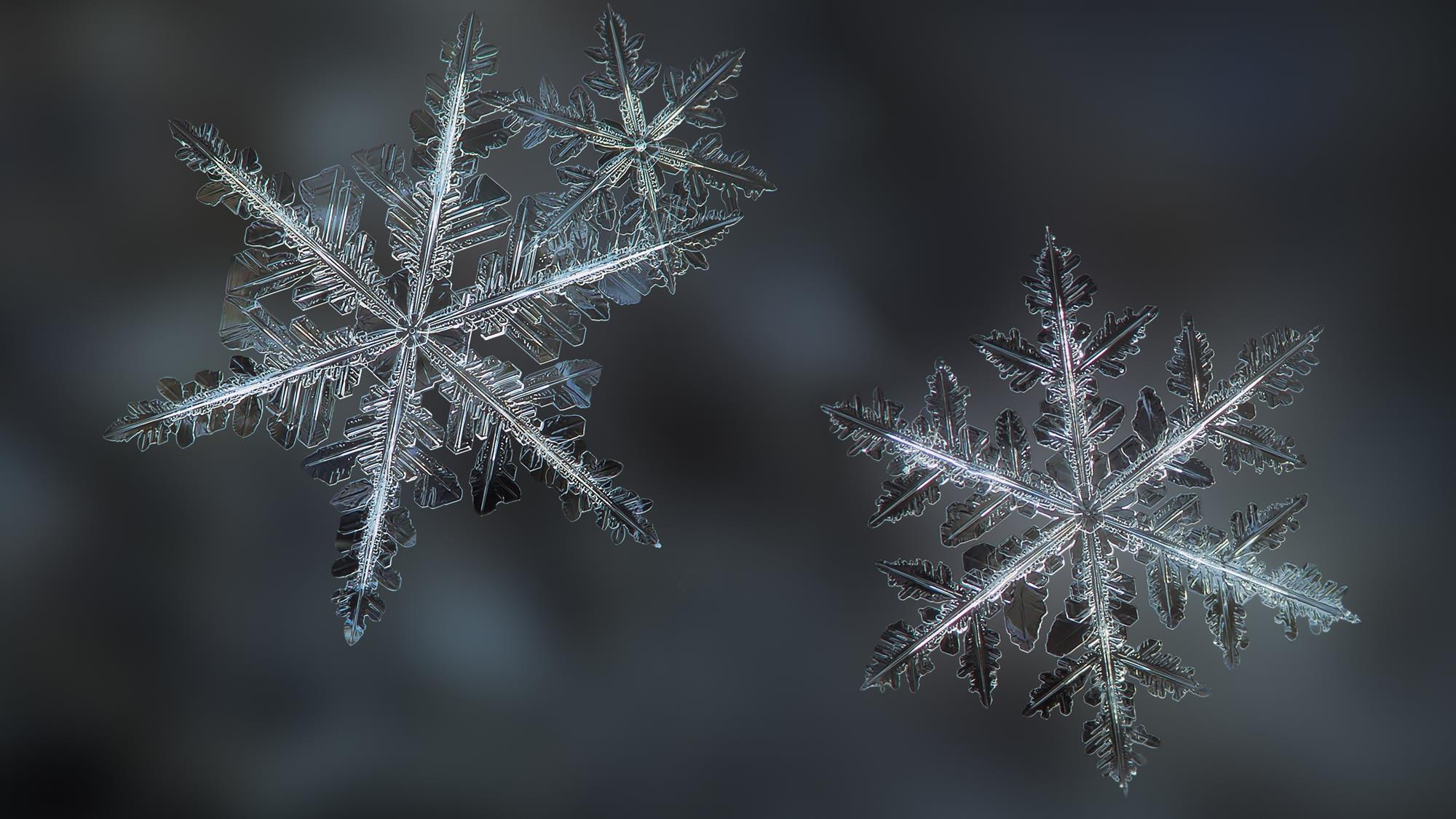 What makes a snowflake special? | News | Chemistry World
