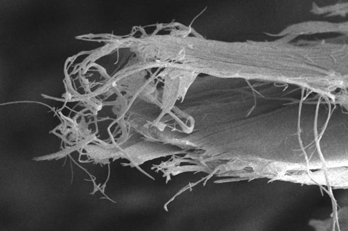 Action on white asbestos blocked by top exporters | News | Chemistry World