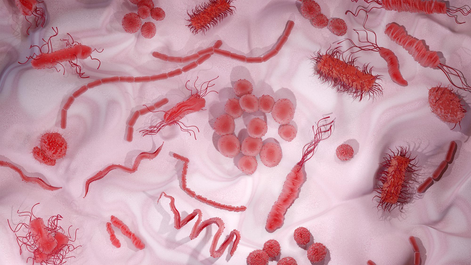 Wired-up symbiotic multi-organism can turn sunlight and air into ...