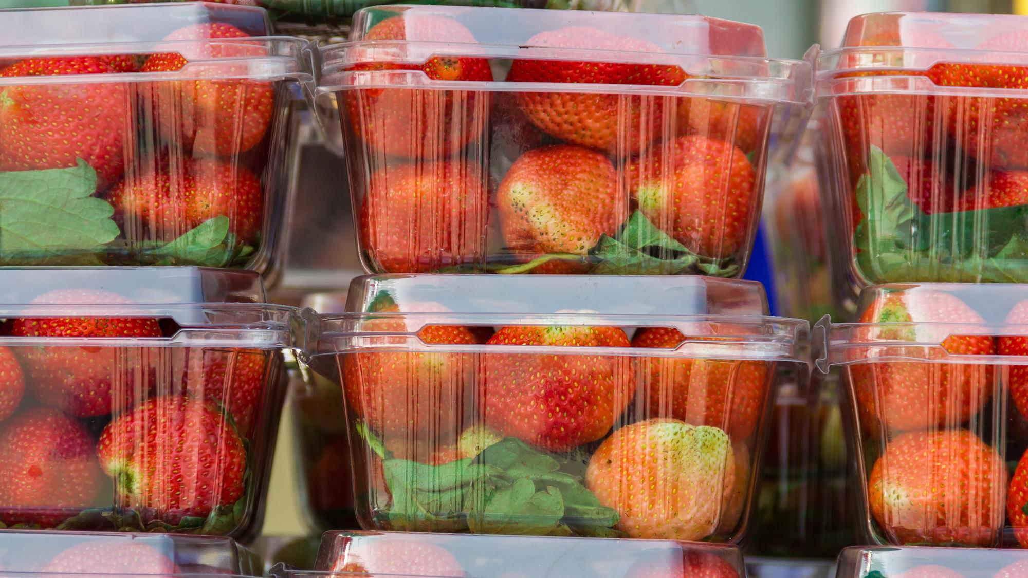 Alarm raised over microplastics in human faeces in first of its kind ...