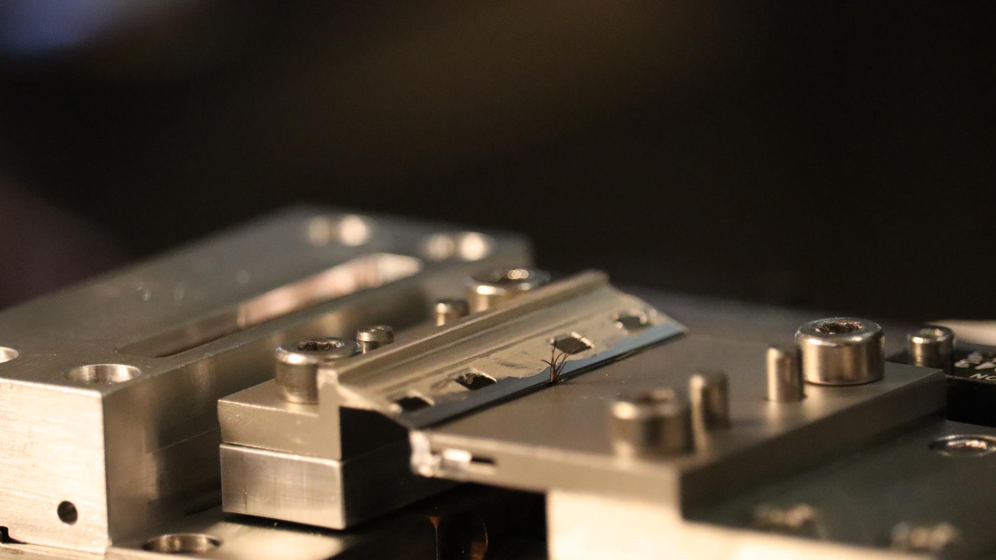 How does hair blunt steel blades? | Research | Chemistry World