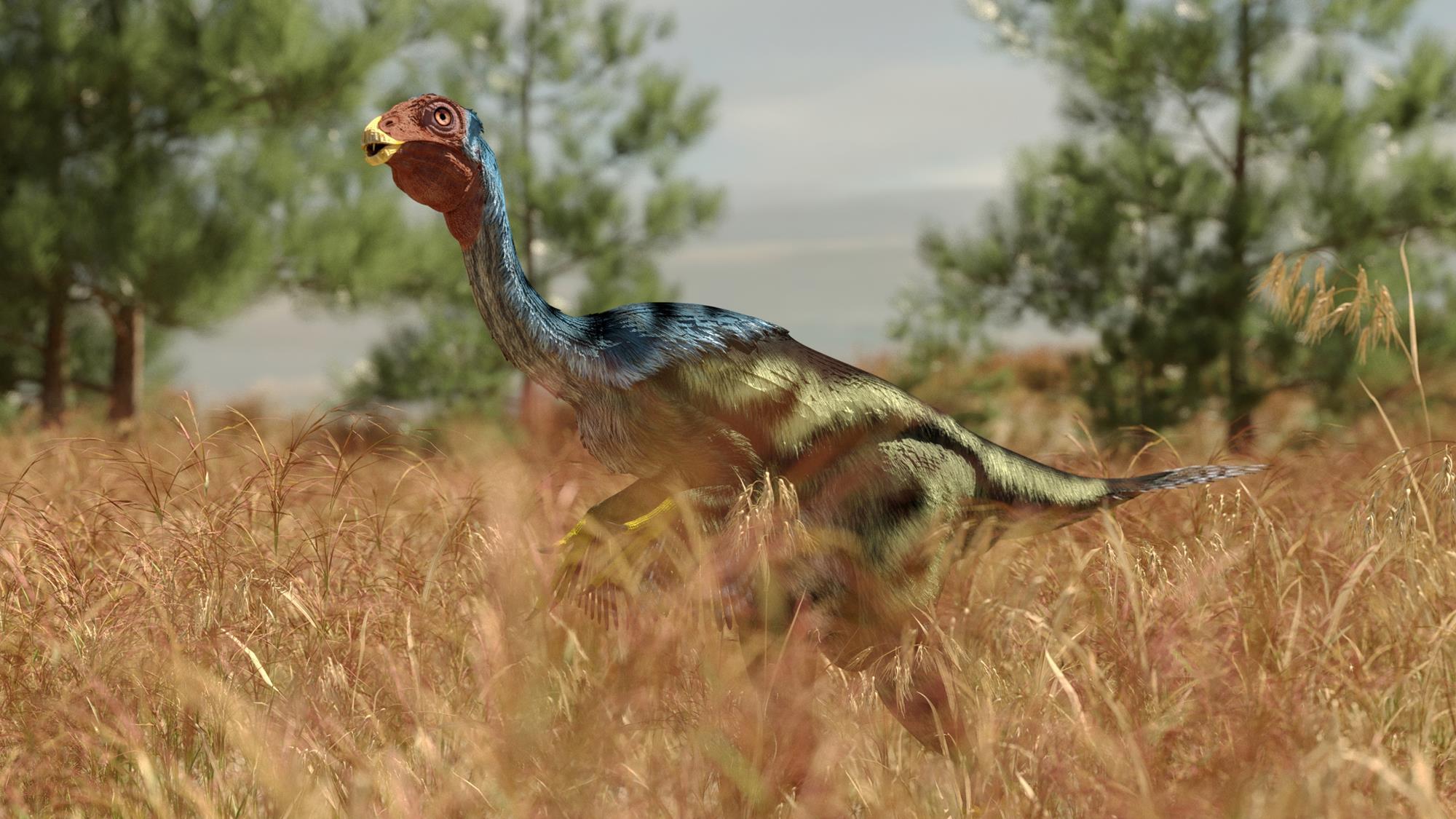 Possible dinosaur DNA discovered in 125-million-year-old fossil ...