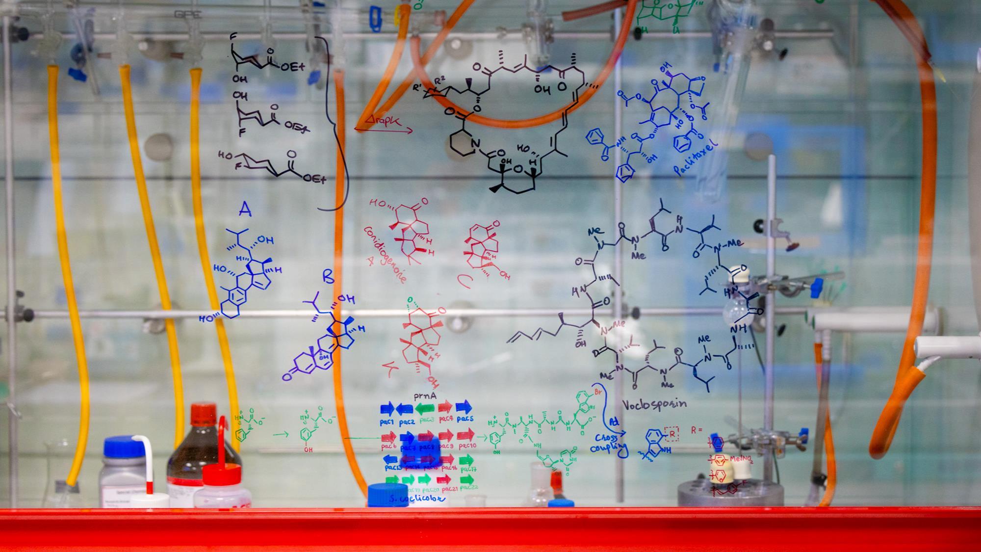 Total synthesis evolution: from structure confirmation to efficient ...