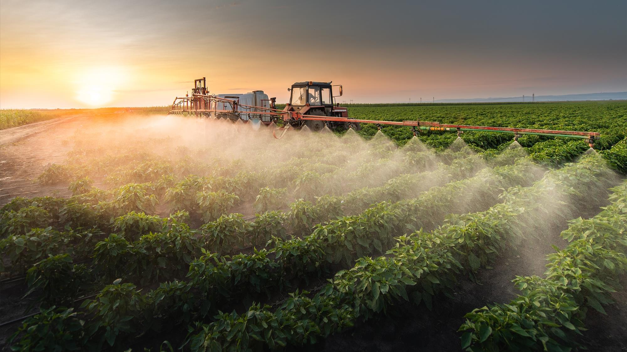 The glyphosate debate | Feature | Chemistry World