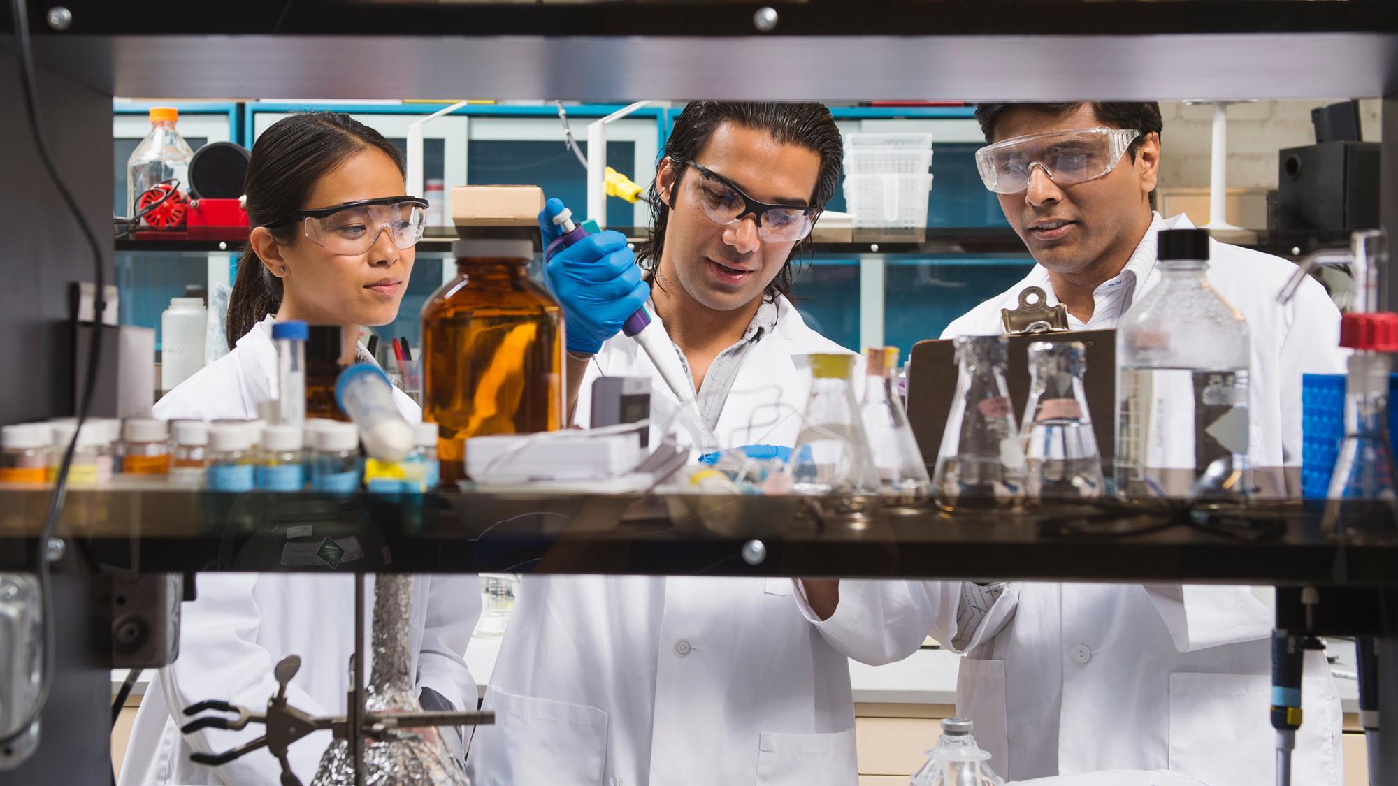 Researchers love their jobs but toxic competition and publishing ...