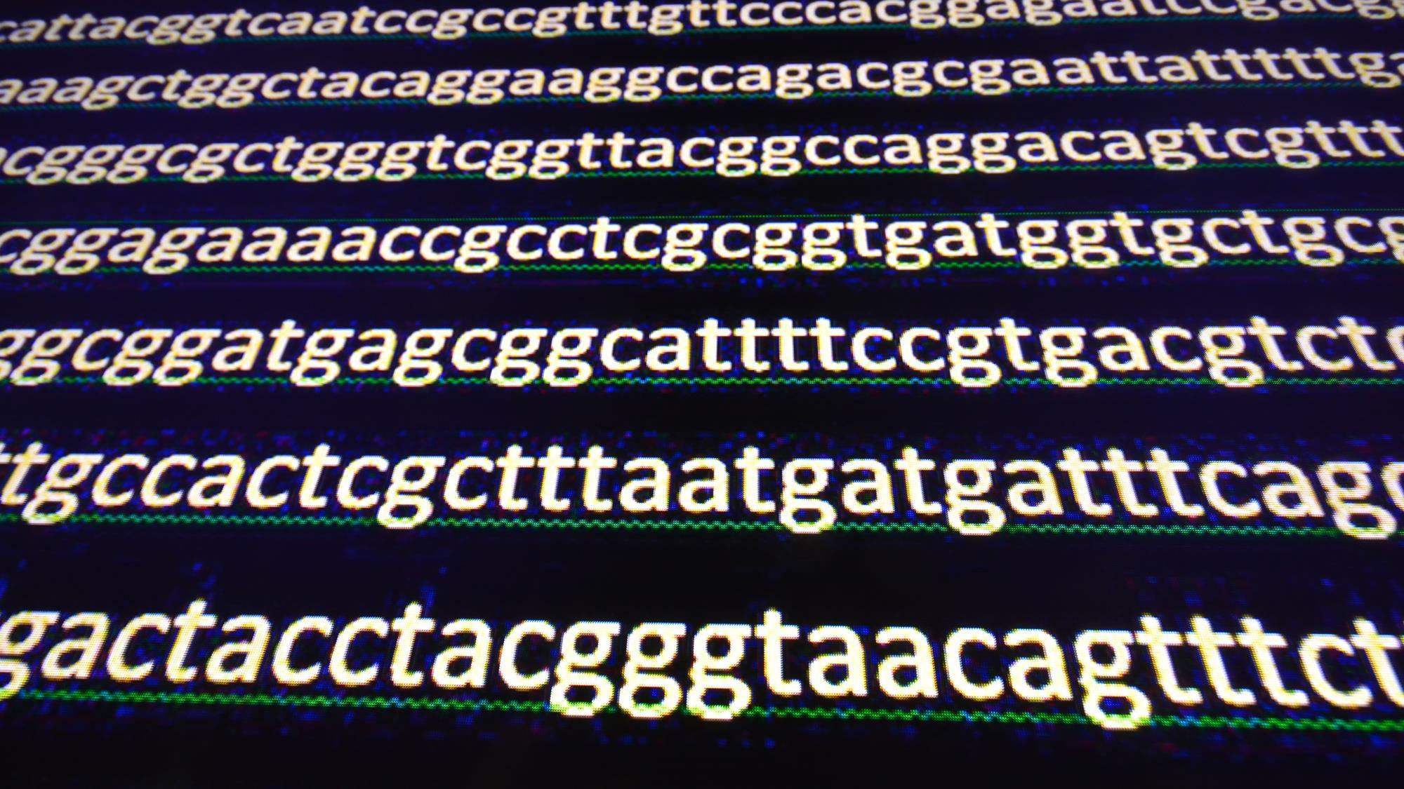Error Free Next Generation Dna Sequencing Pioneered Research Chemistry World