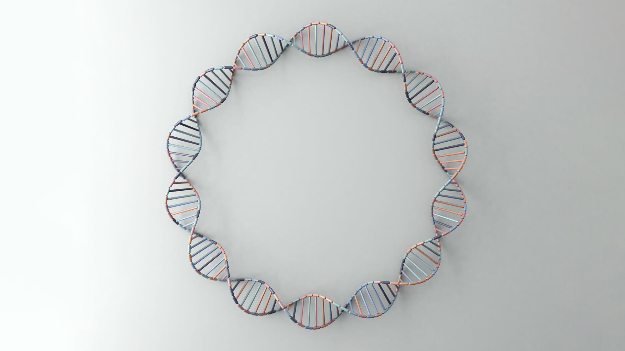 The circles of DNA that cause cancer | Feature | Chemistry World