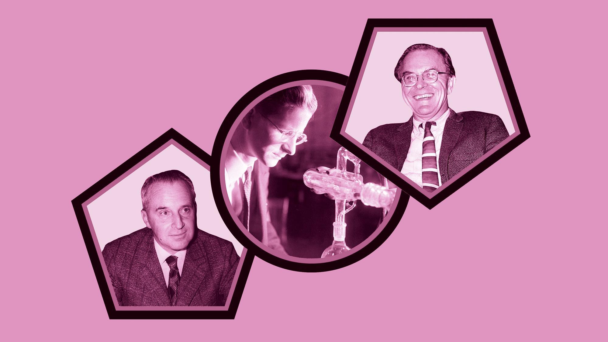 Fifty years since the ferrocene furore | Feature | Chemistry World