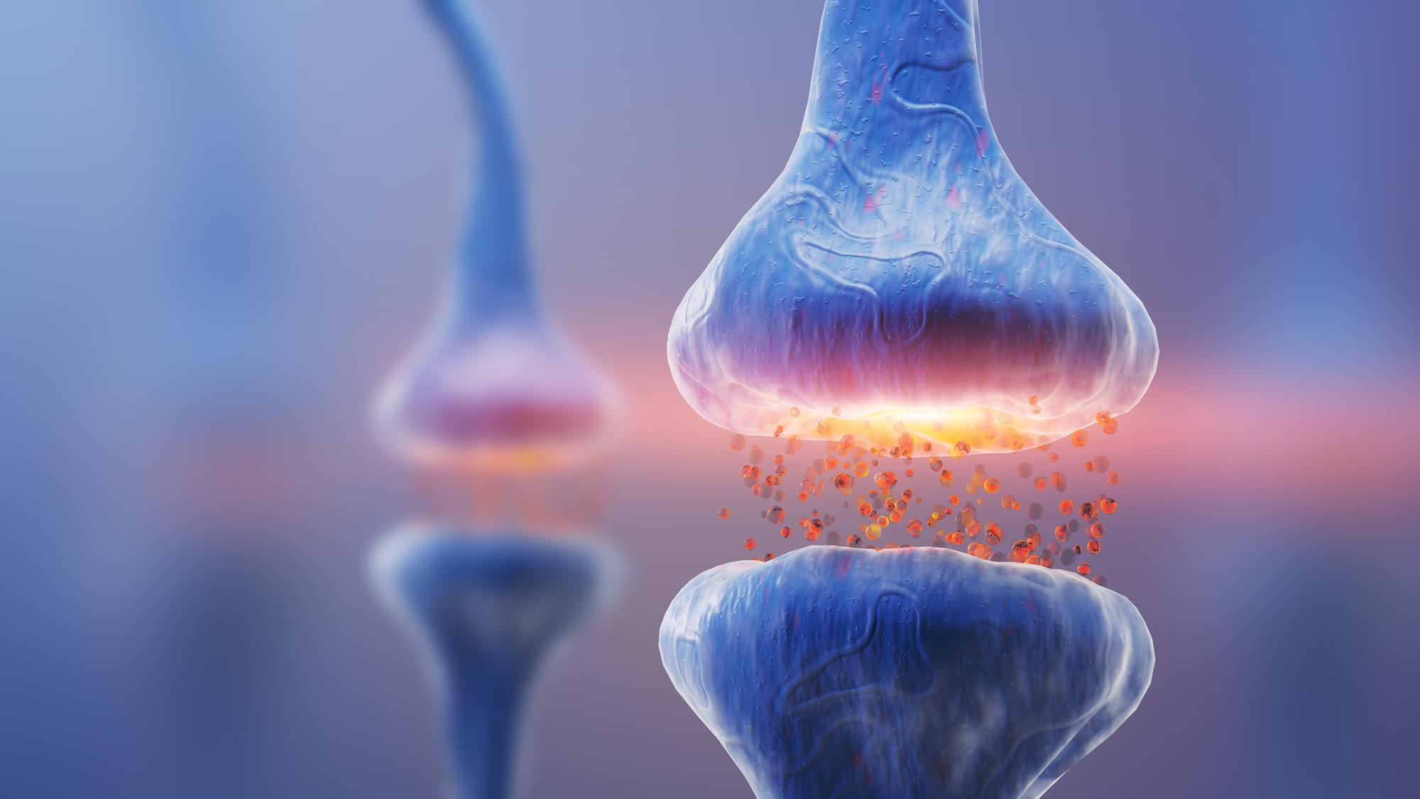 Fluidic chemical systems can mimic the way the brain stores memories ...