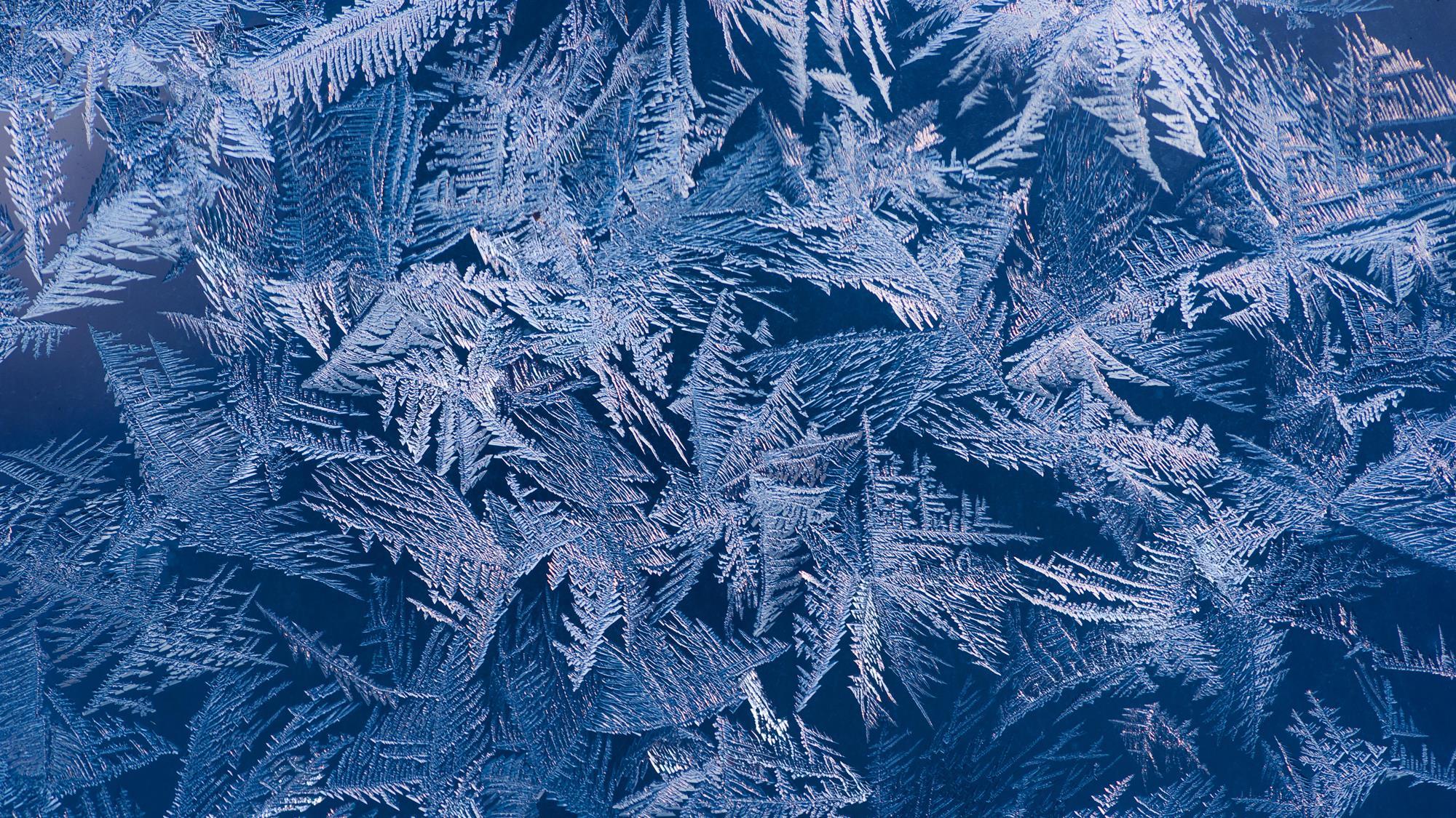 The Mpemba effect: fact or fiction? | News | Chemistry World