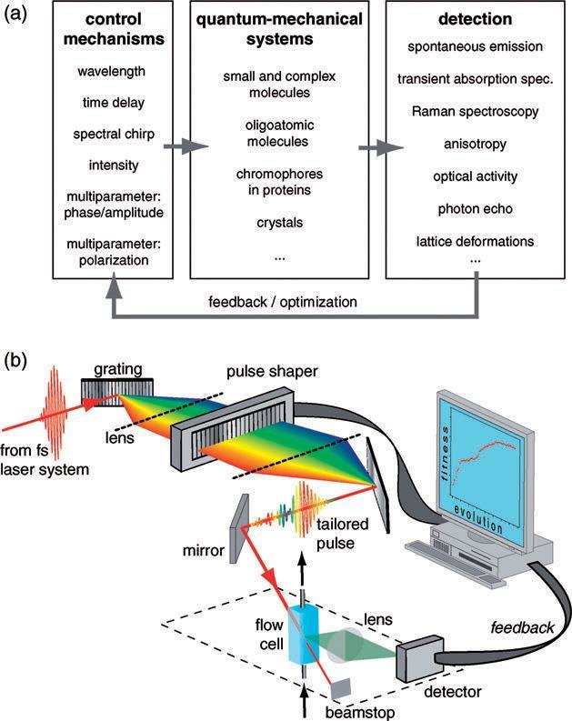 Quantum control | Feature | Chemistry World