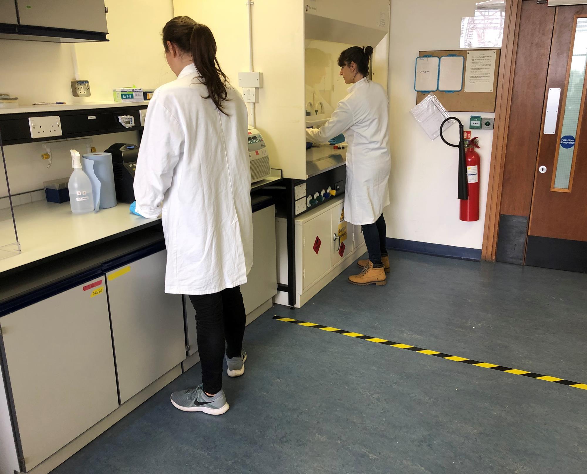 Chemistry departments across the UK tackle herculean task of reopening ...