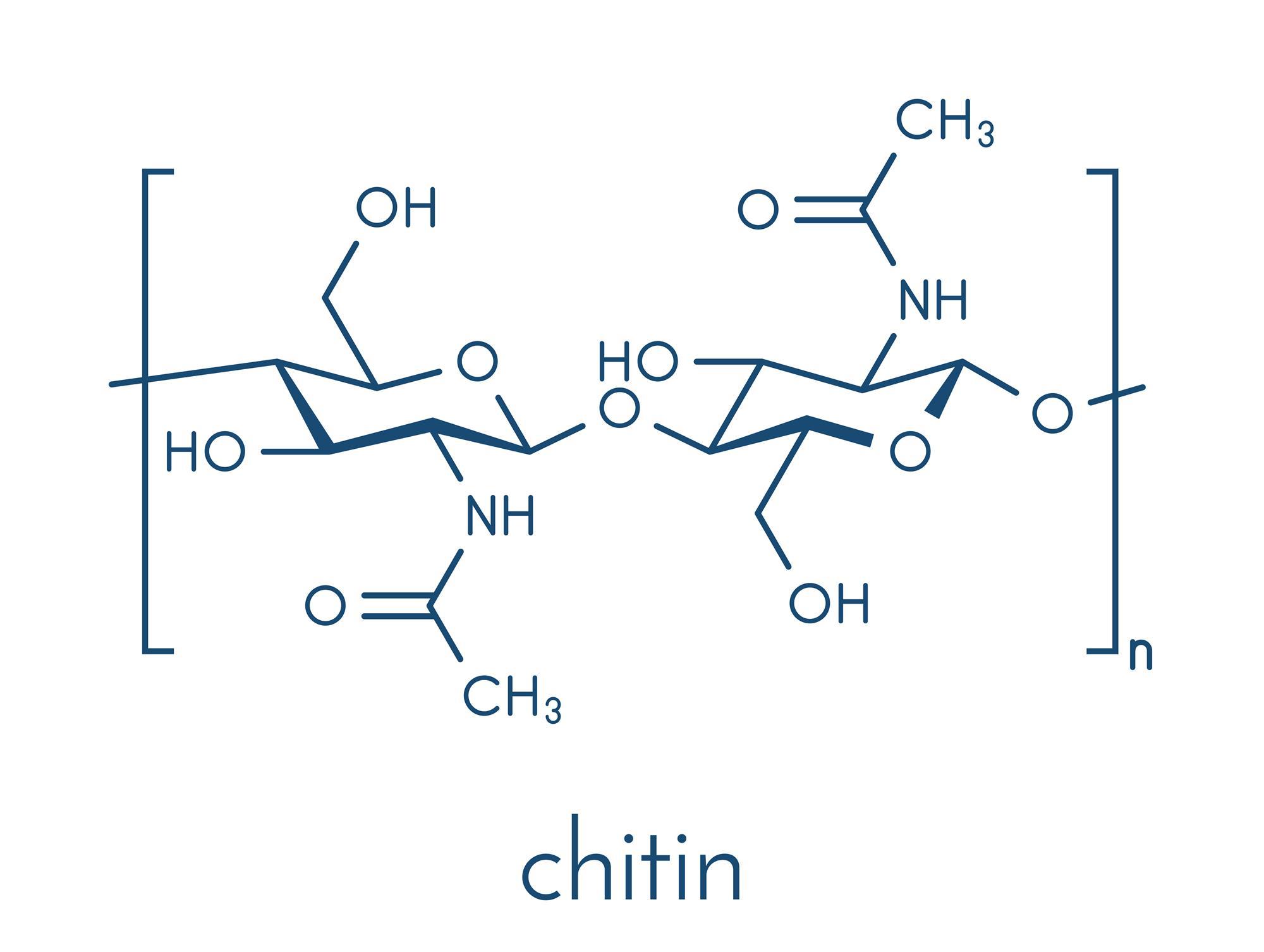 Chitin | Podcast | Chemistry World