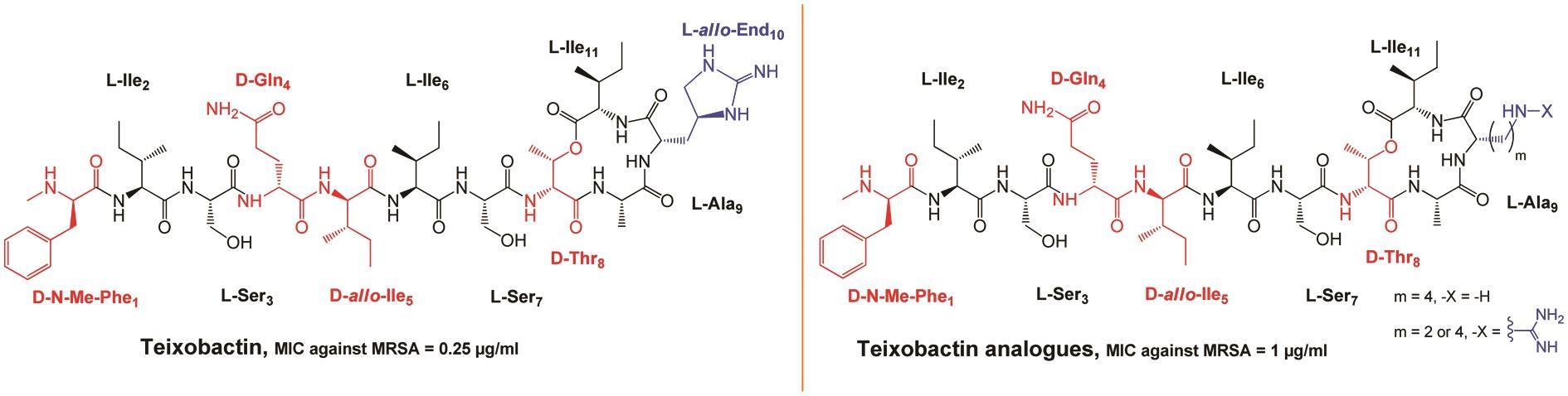 Simplified structure eases antibiotic synthesis | Research | Chemistry ...
