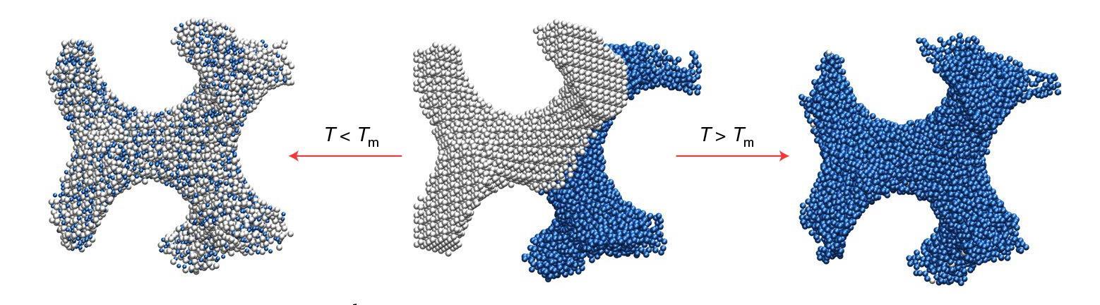 Designer lipids stop water freezing at sub-zero temperatures | Research ...