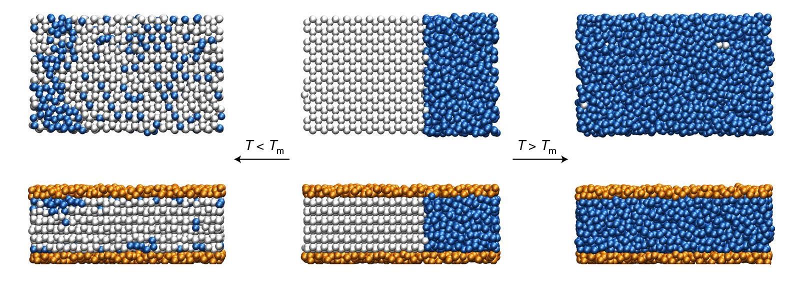 Designer lipids stop water freezing at sub-zero temperatures | Research ...
