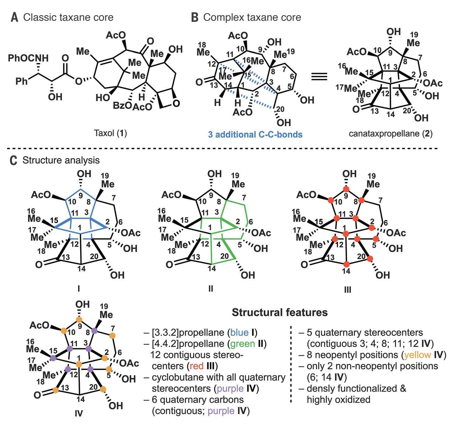 Chemists complete synthesis of molecule ‘at the limits of complexity ...