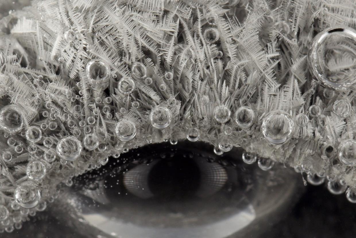 Beautiful screen chemistry | News | Chemistry World