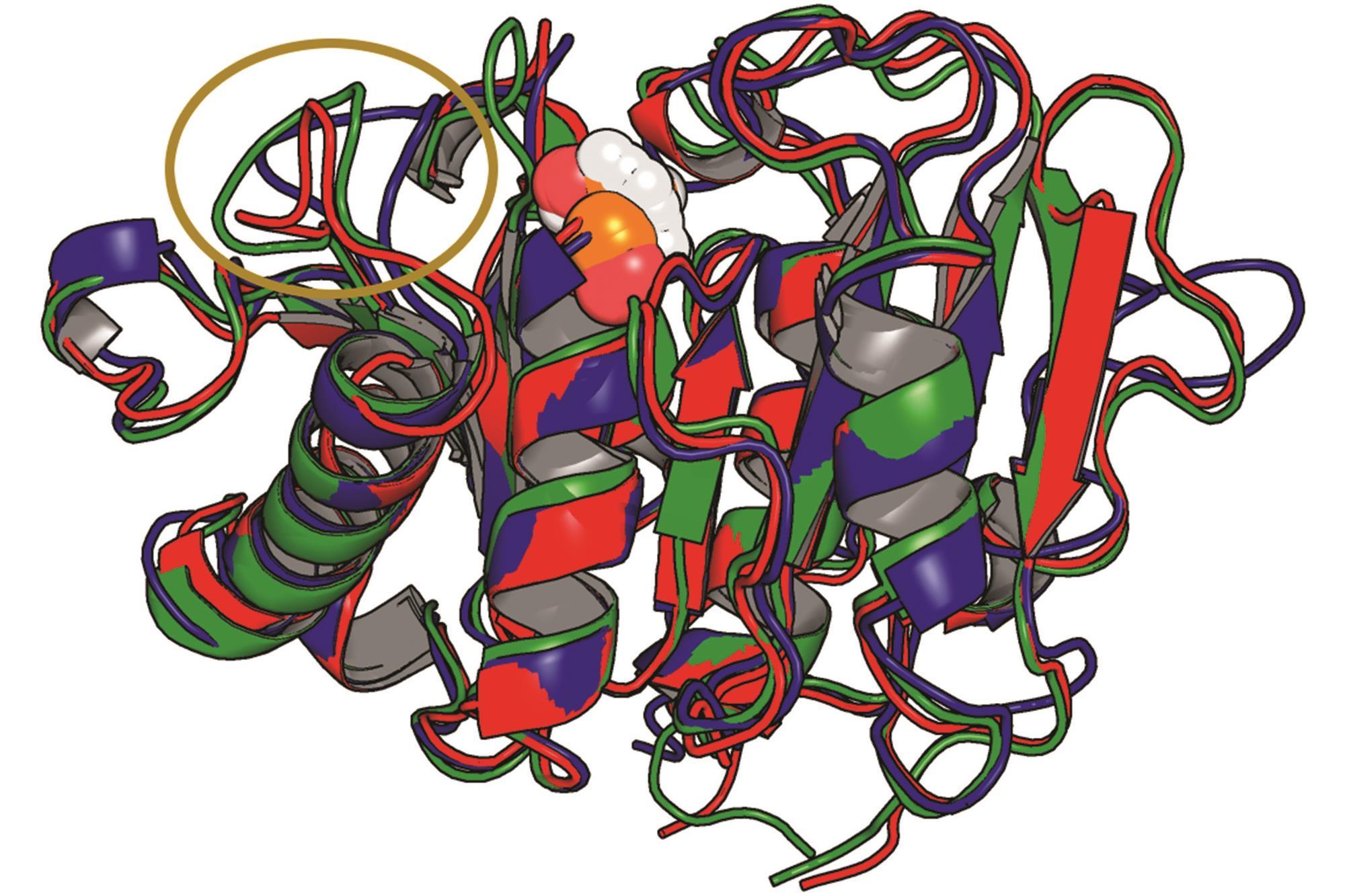 Plastics synthesis goes green | Research | Chemistry World