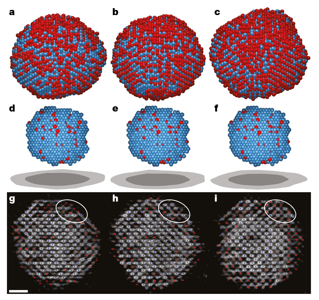 First 4D look at crystallising atoms contradicts textbook nucleation ...
