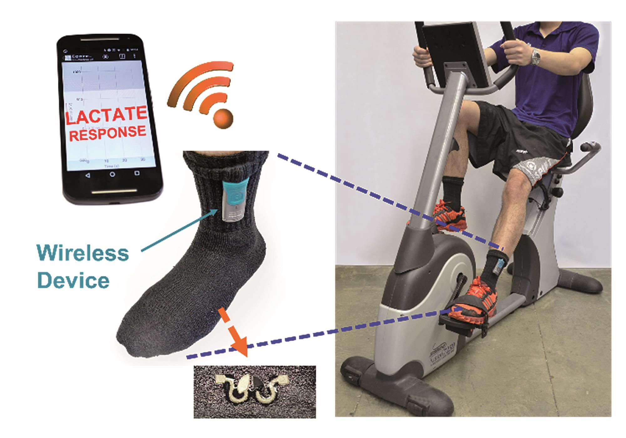 Smart sensors for sweaty socks | Research | Chemistry World