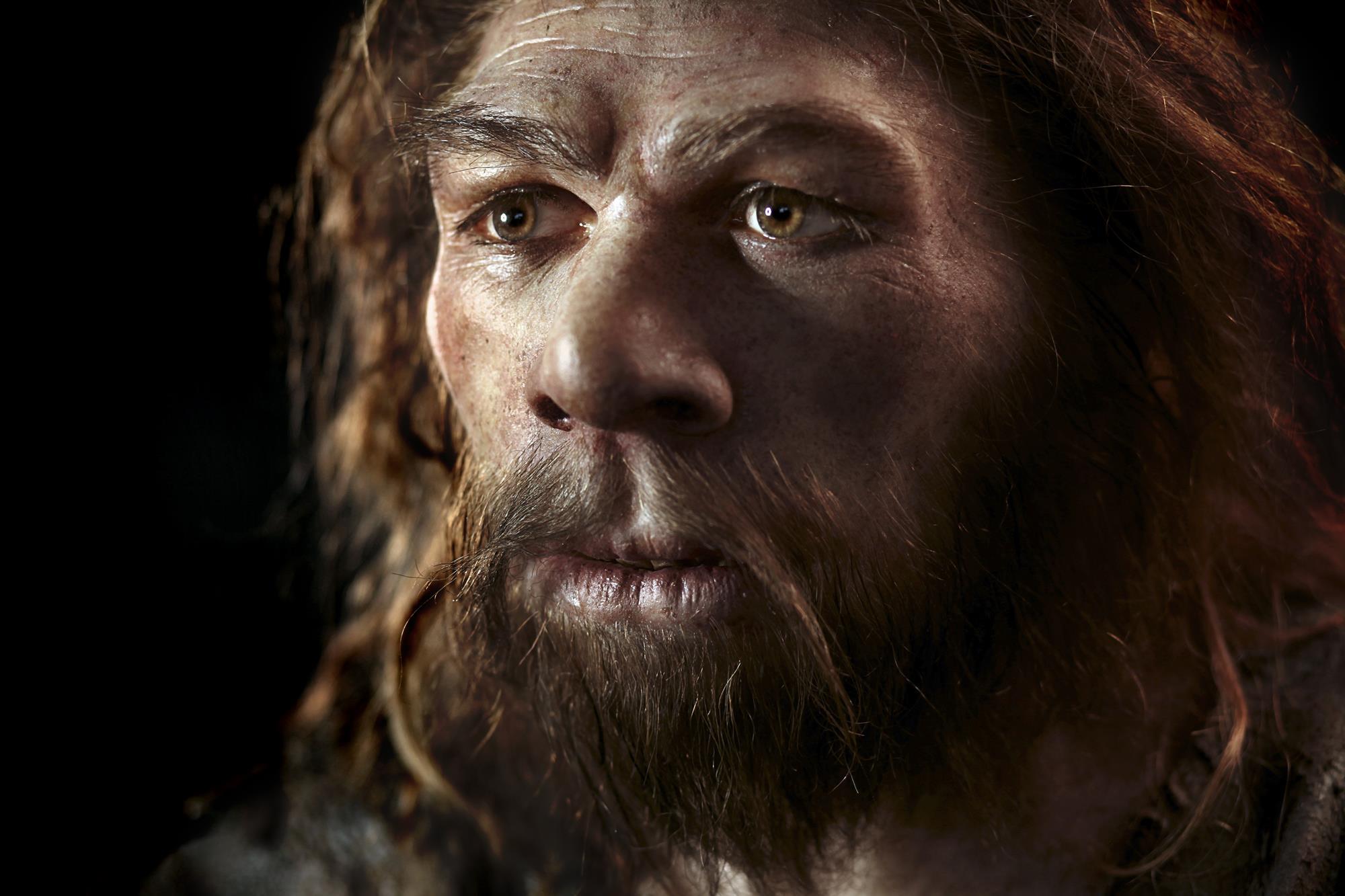 Denisovan Face