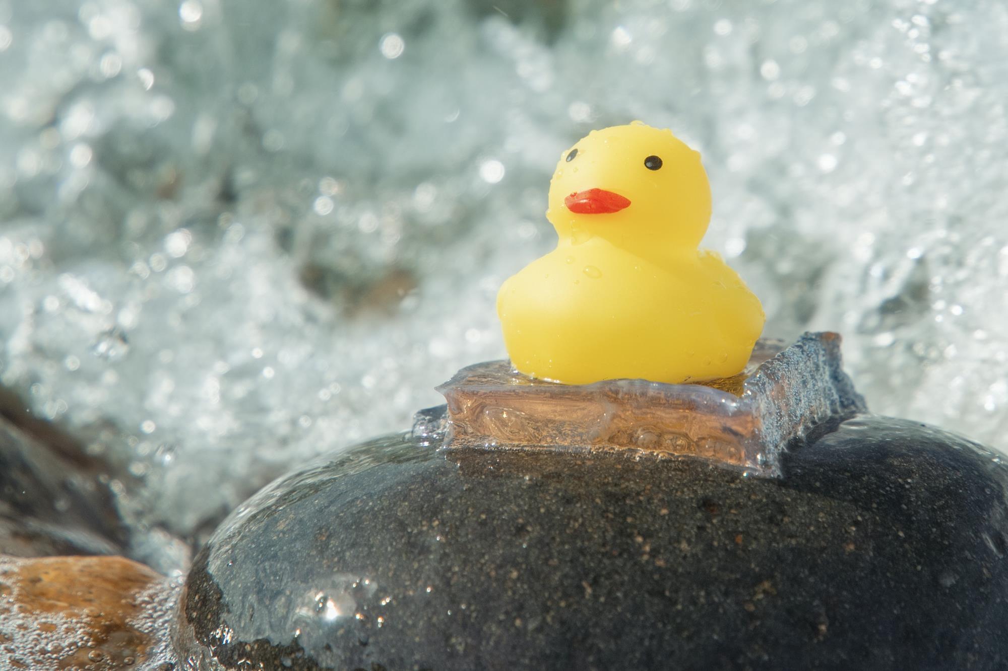 rubber duck computing