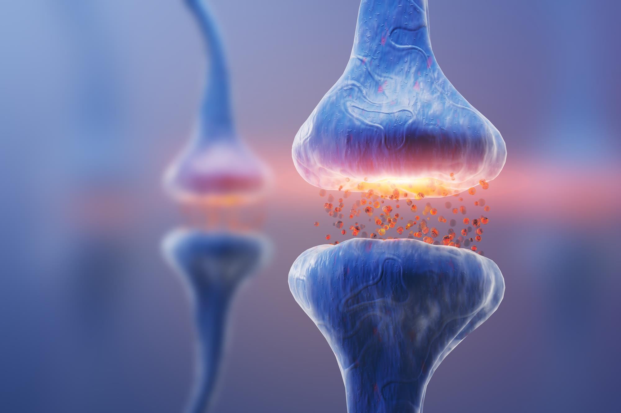Real Neuron Cell