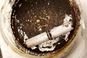 Michael Whitelaw | Author | Chemistry World