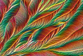 Anna Demming | Author | Chemistry World