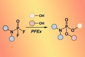Ada McVean | Digital content assistant | Chemistry World