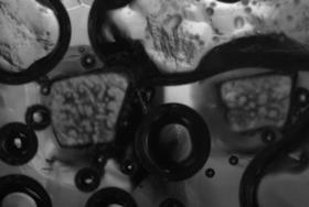 Susannah May | Author | Chemistry World