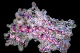 Hayley Simon | Author | Chemistry World