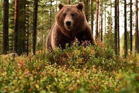 All articles by Charlie Quigg | Chemistry World