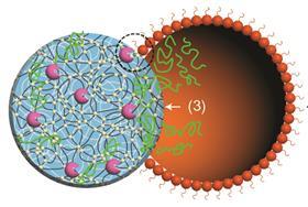 All Protocell articles | Chemistry World