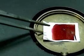 Charlie Quigg | Author | Chemistry World