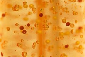 All microbeads articles | Chemistry World
