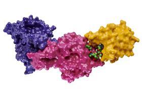 Merck / MilliporeSigma | Chemistry World