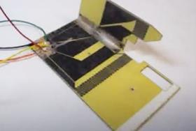 Charlie Quigg | Author | Chemistry World