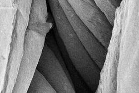 All technology articles | Chemistry World