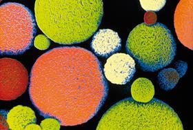 All chromatography articles | Chemistry World