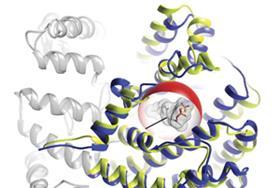 Andrew Turley | Author | Chemistry World