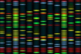 Susannah May | Author | Chemistry World