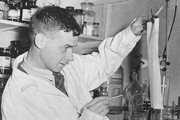 Chemistry news, research and analysis | Chemistry World