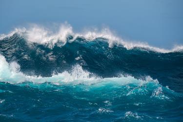 Water and the environment | Chemistry World