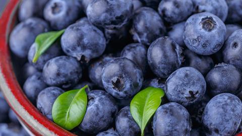 Blueberries’ blue is just skin deep, depending on structure not ...
