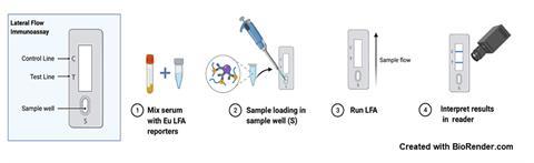Quick test could catch fatal tick fever before it’s too late | Research ...