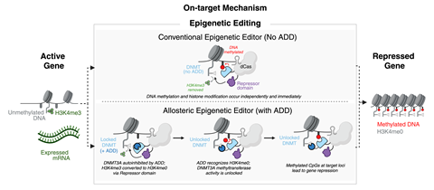 Rewriting genetic medicine | Business | Chemistry World
